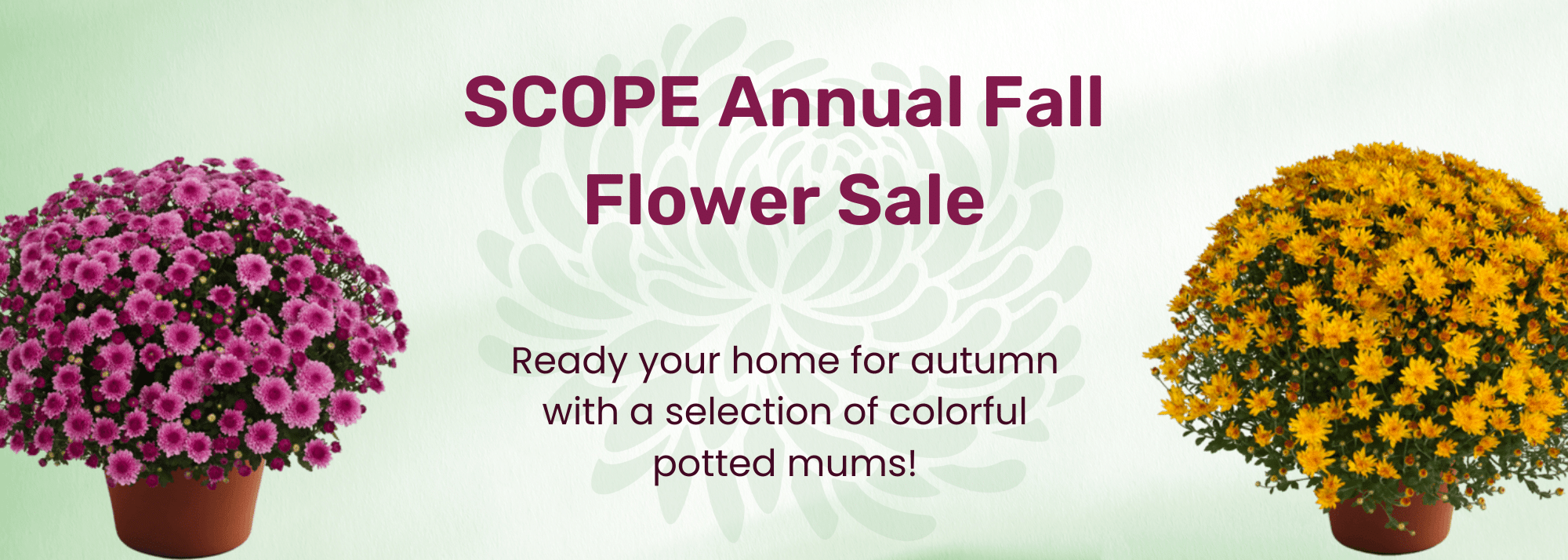 SCOPE Fall Flower Sale - Northstar - Richmond, VA