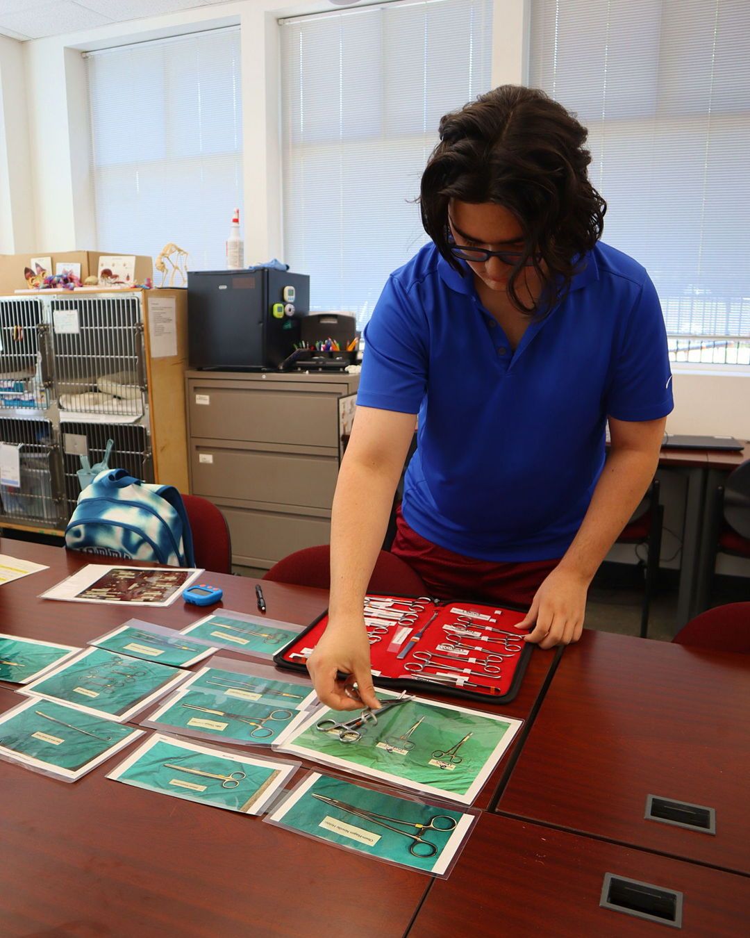 Pet Care as a Profession: Why the Veterinary Assisting Program at ...